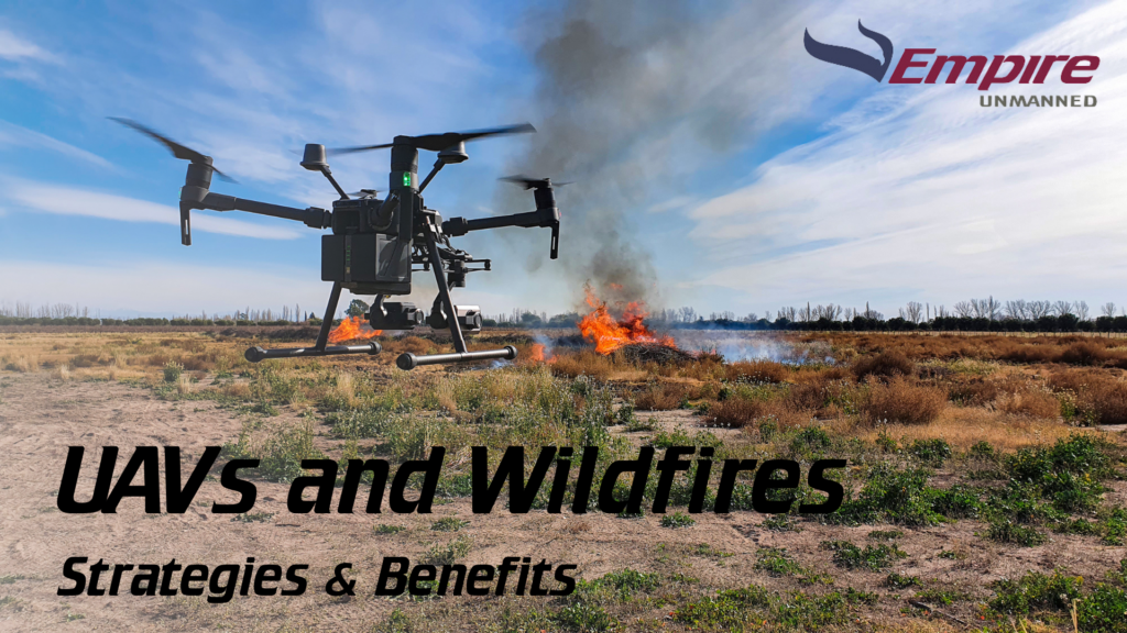 UAVs in Early Wildfire Detection: Strategies and Benefits - Empire Unmanned